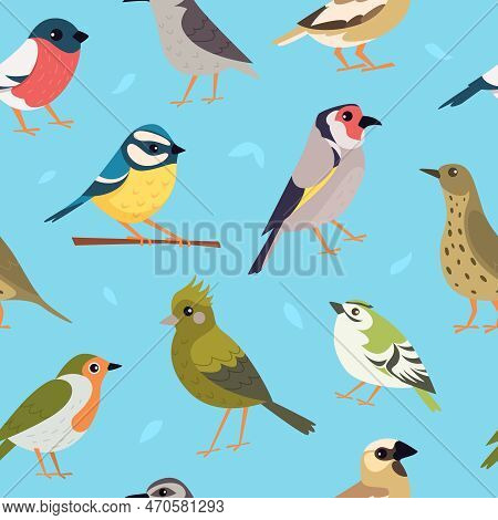 Birds Pattern. Vector & Photo (Free Trial) | Bigstock