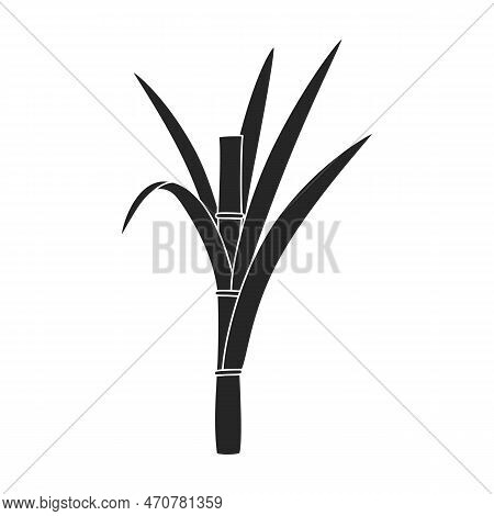 Sugarcane Field Vector