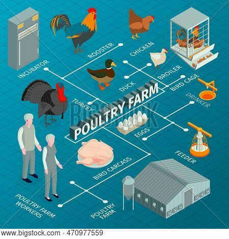 เวกเตอร์และภาพถ่าย (ทดลองใช้ฟรี) | Bigstock