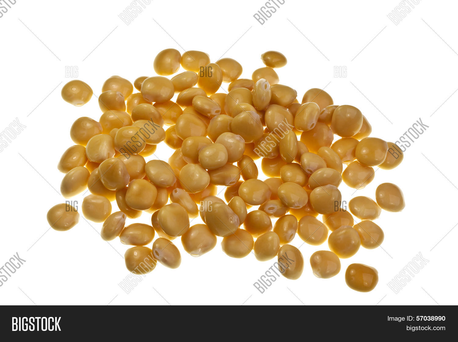 Lupin Lupini Beans Image & Photo (Free Trial) | Bigstock