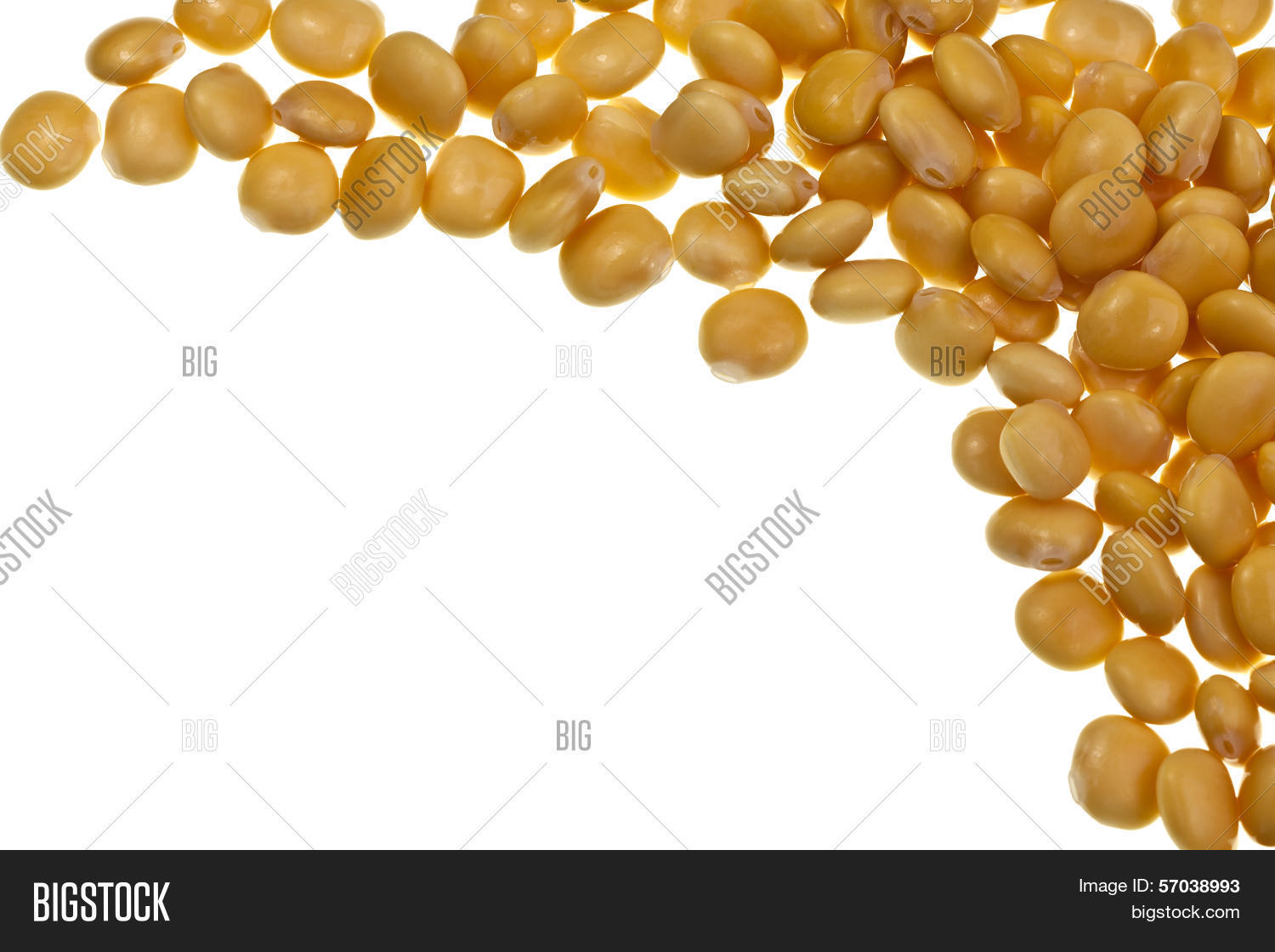 Lupin Lupini Beans Image & Photo (Free Trial) | Bigstock