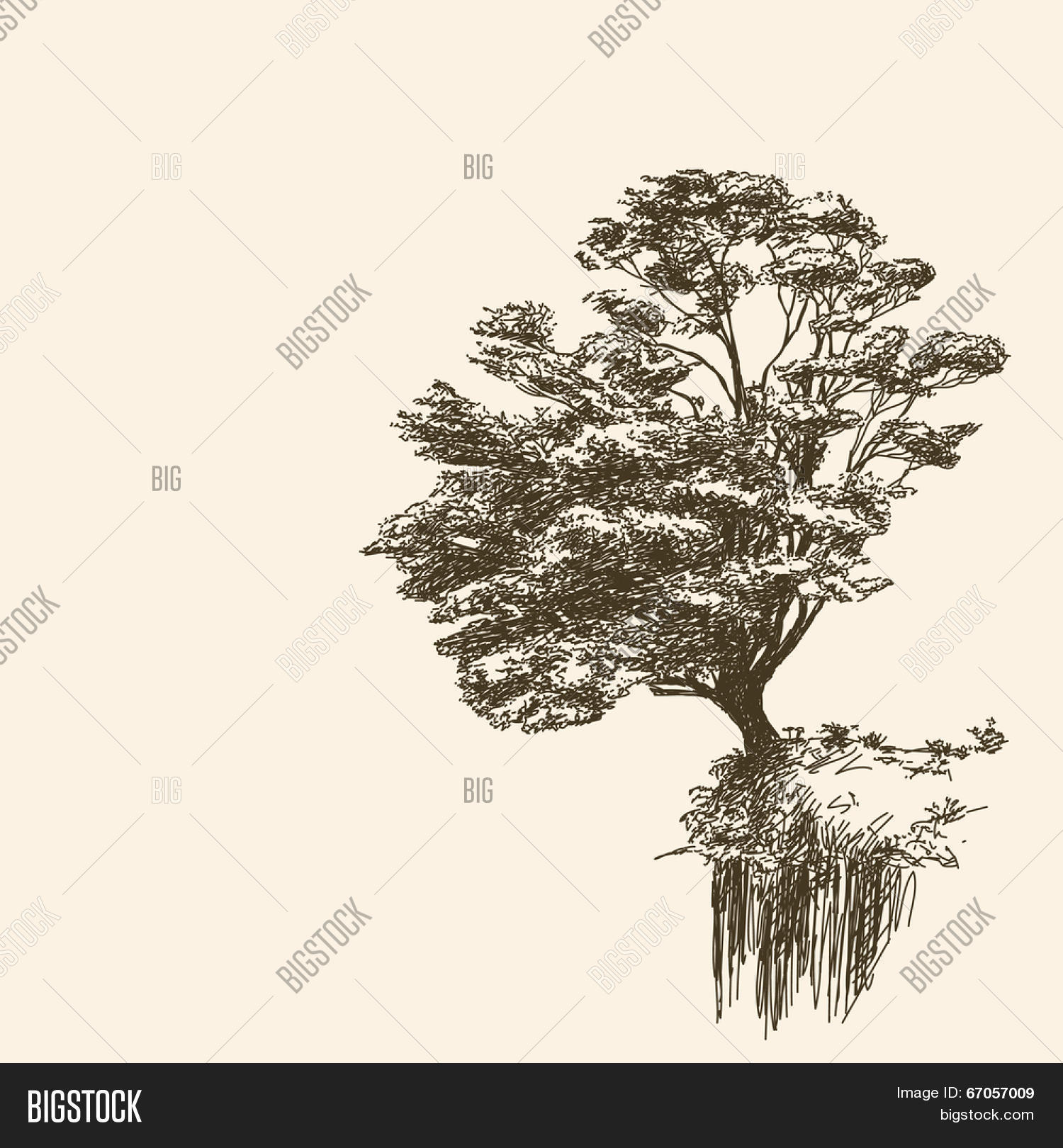 Lonely Tree On Cliff Vector & Photo (Free Trial) | Bigstock