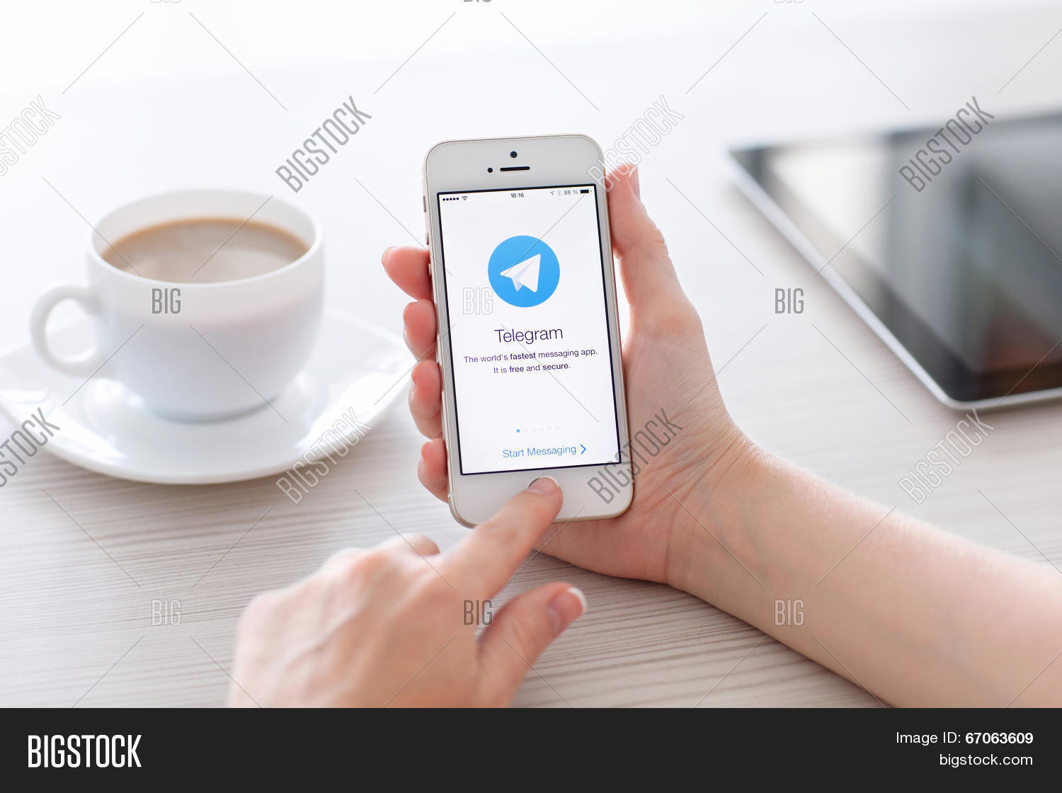 Female Hands Holding Image & Photo (Free Trial) | Bigstock