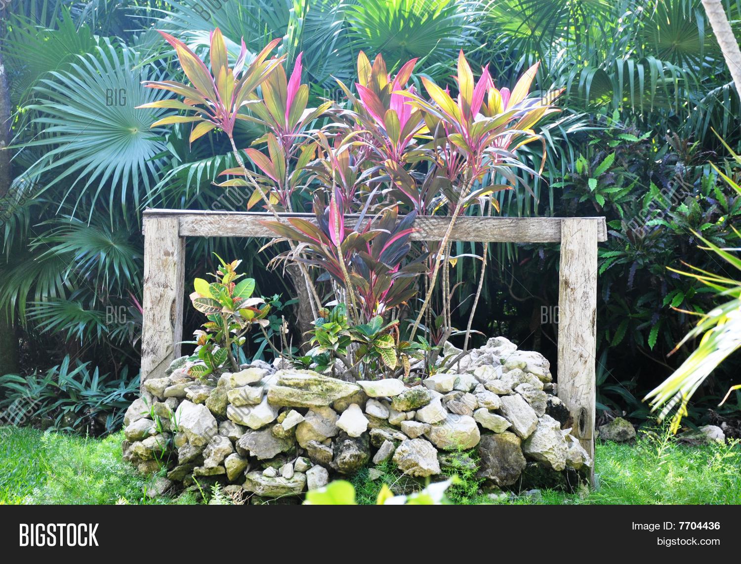 Multi-colored Bush Image & Photo (Free Trial) | Bigstock