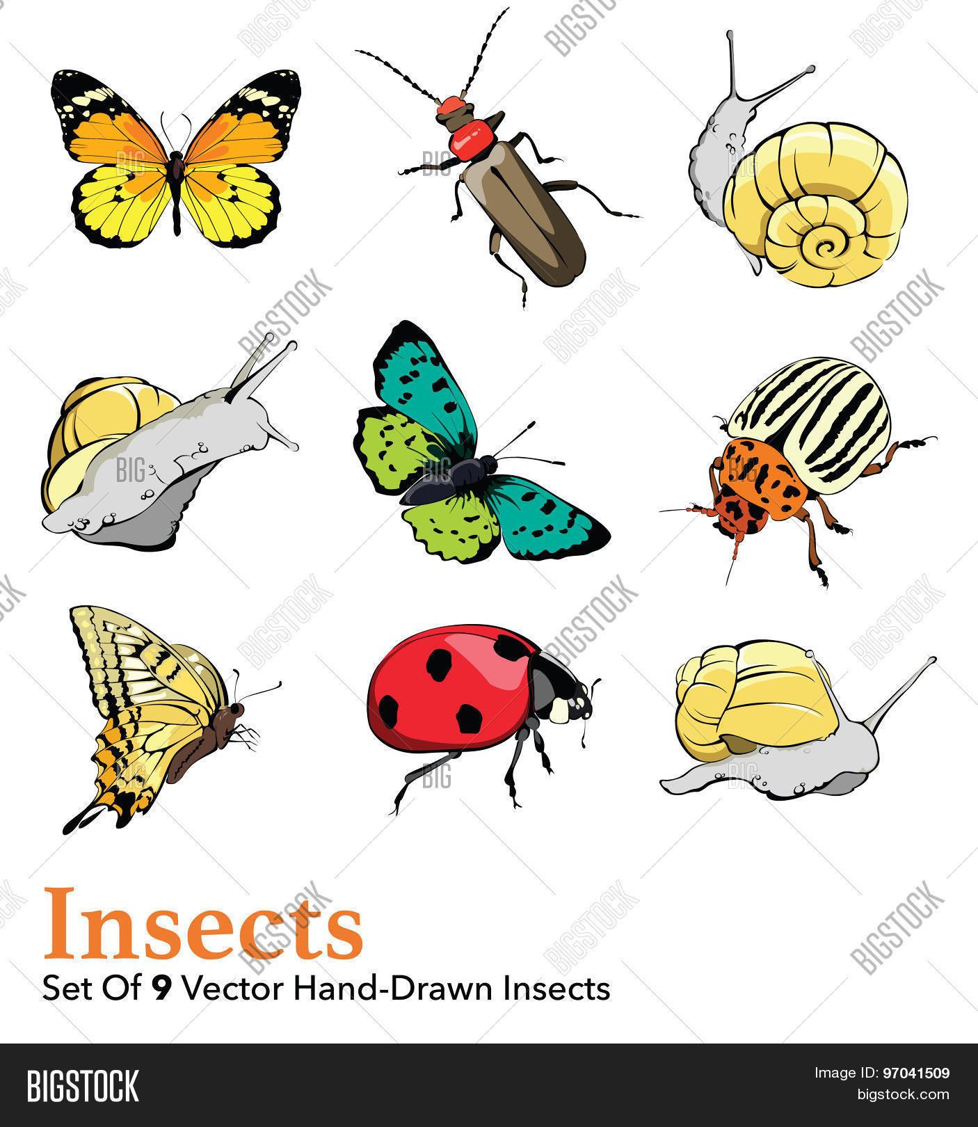 Vector Insects 9 Vector & Photo (Free Trial) | Bigstock
