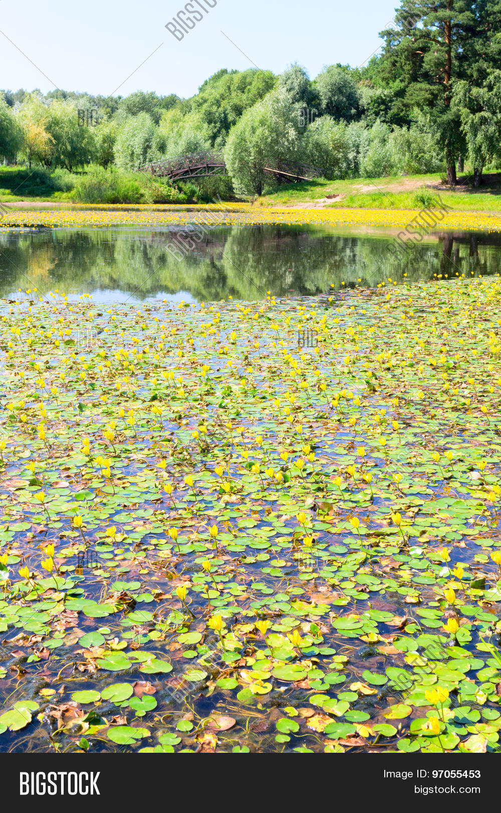 Lake Yellow Water Image & Photo (Free Trial) | Bigstock