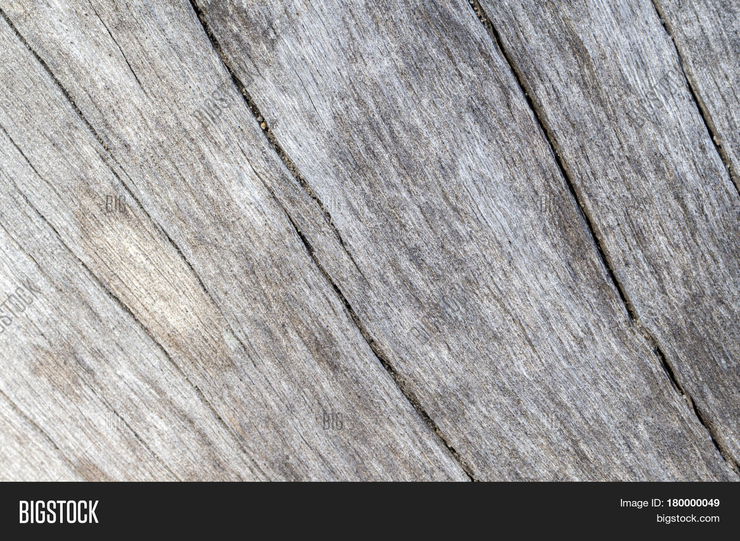 Old Sea Wood Texture Image & Photo (Free Trial) | Bigstock