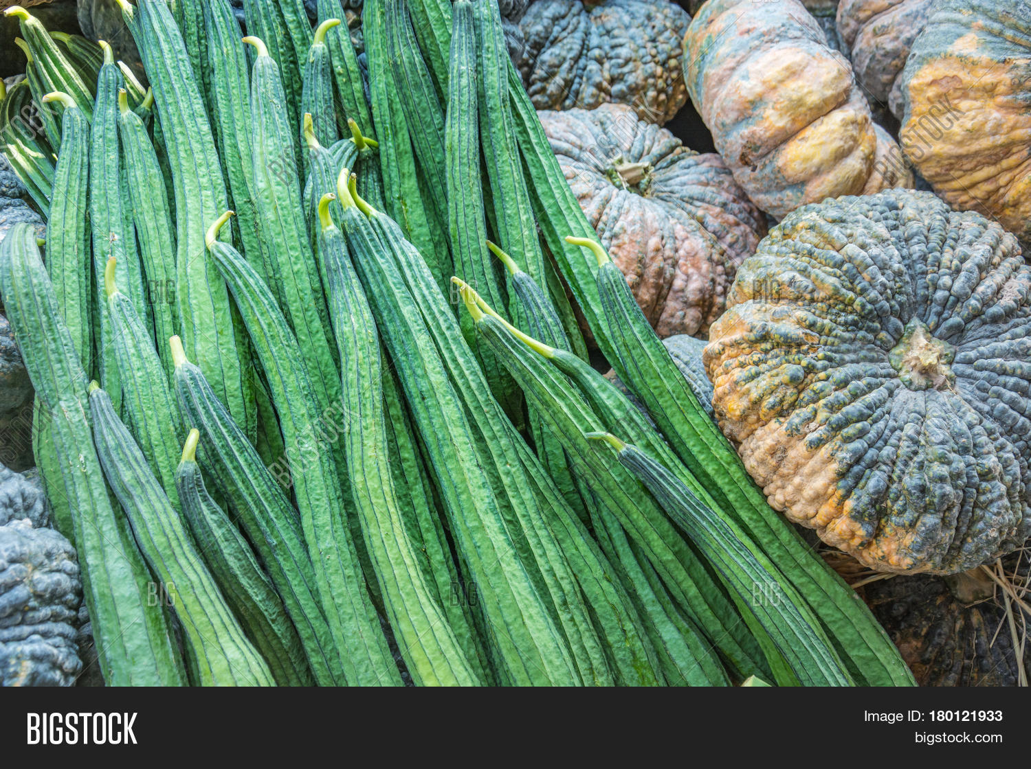 Fresh Angled Loofah Image & Photo (Free Trial) | Bigstock