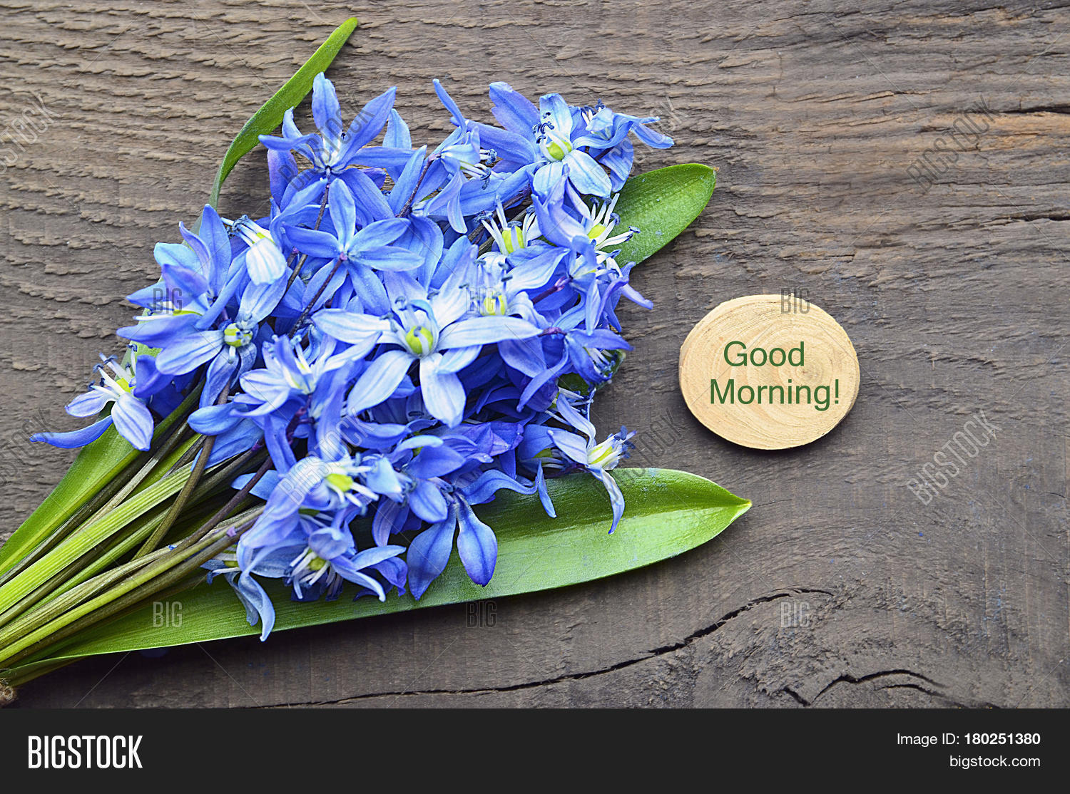 Good Morning Spring Image & Photo (Free Trial) | Bigstock