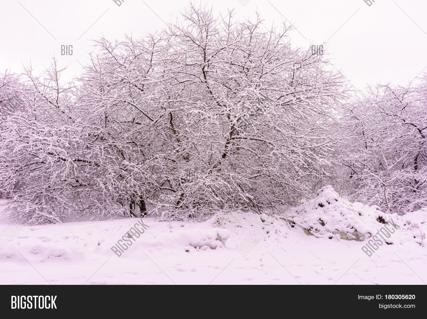 Abstract Winter Image & Photo (Free Trial) | Bigstock