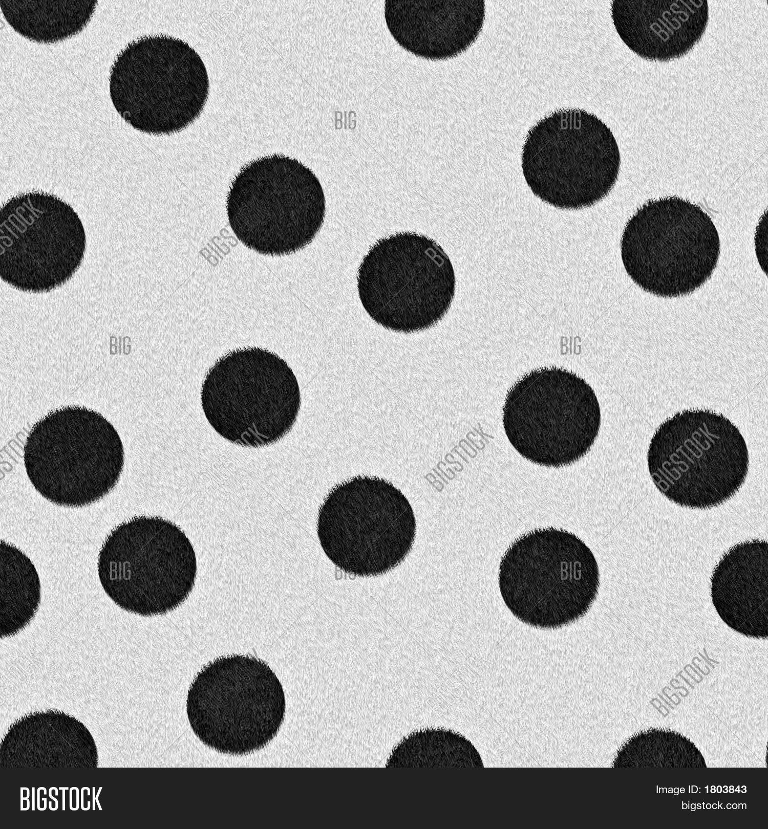 Dalmation Spots Image & Photo (Free Trial) | Bigstock