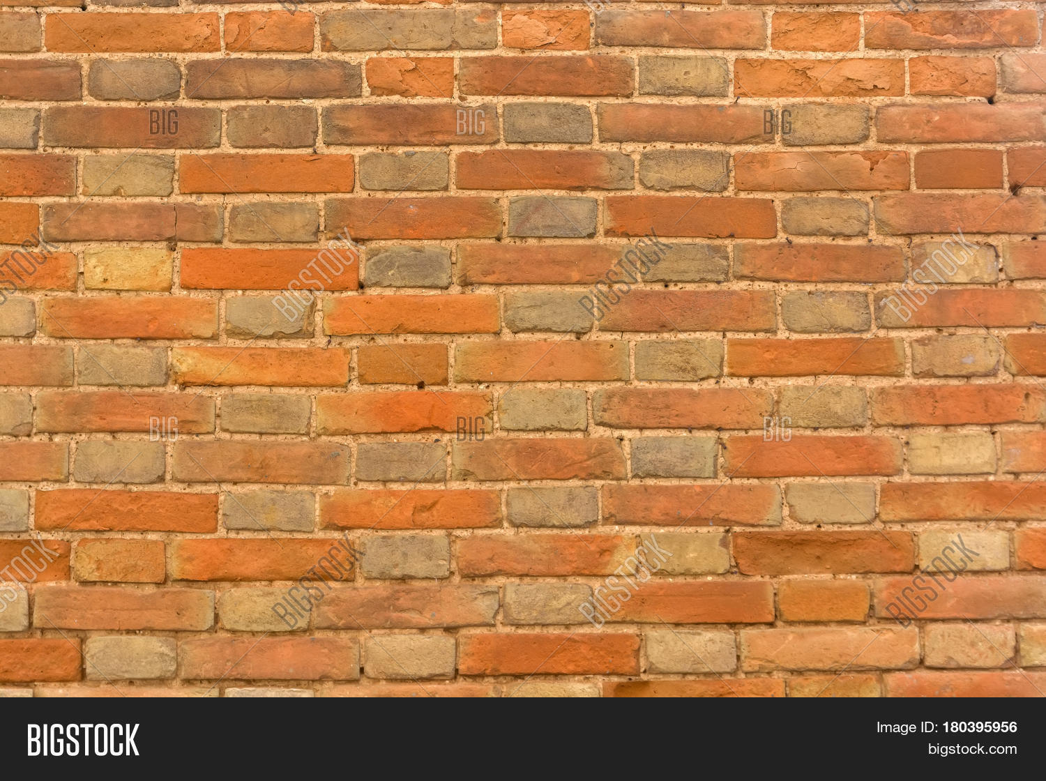 High Resolution Image & Photo (Free Trial) | Bigstock