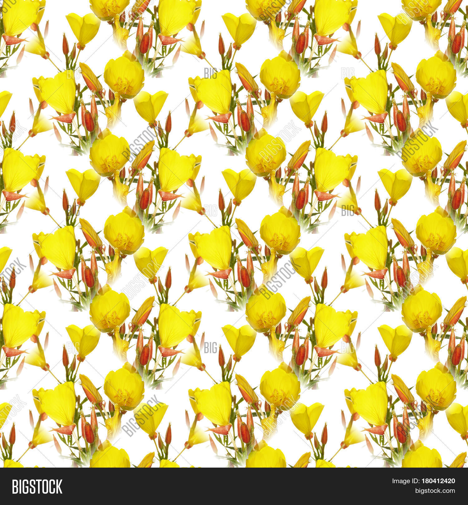 Seamless Flowers Image & Photo (Free Trial) | Bigstock