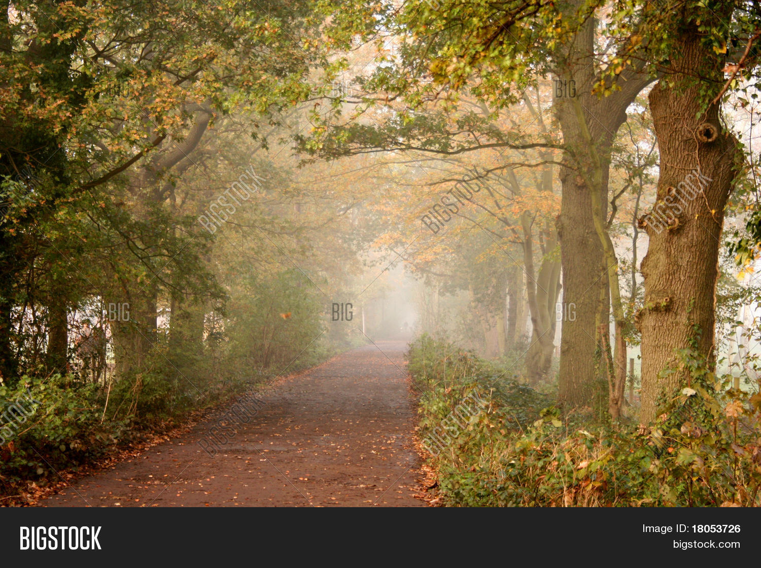Peaceful Trail Into Image & Photo (Free Trial) | Bigstock