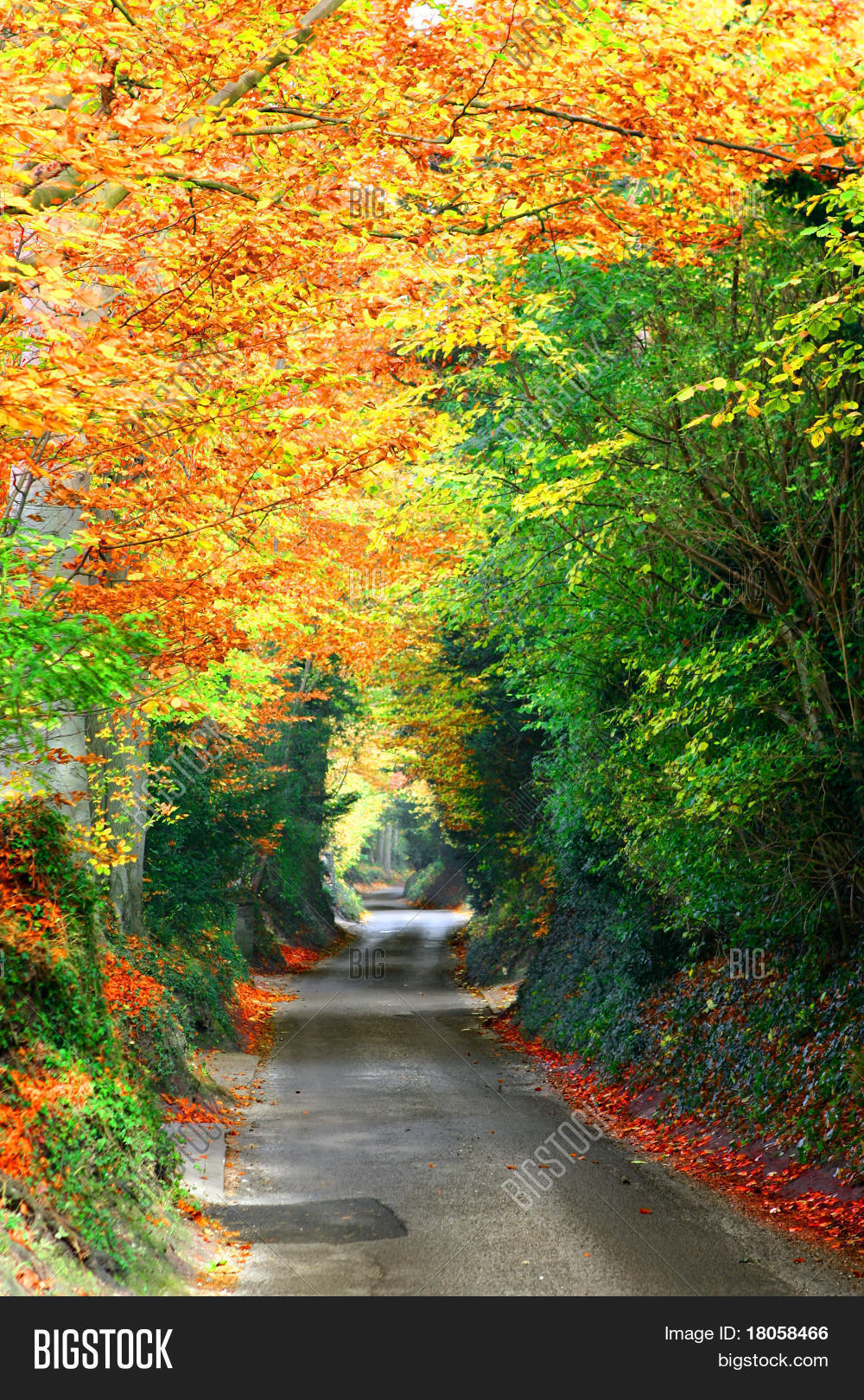 Quiet Peaceful Country Image & Photo (Free Trial) | Bigstock