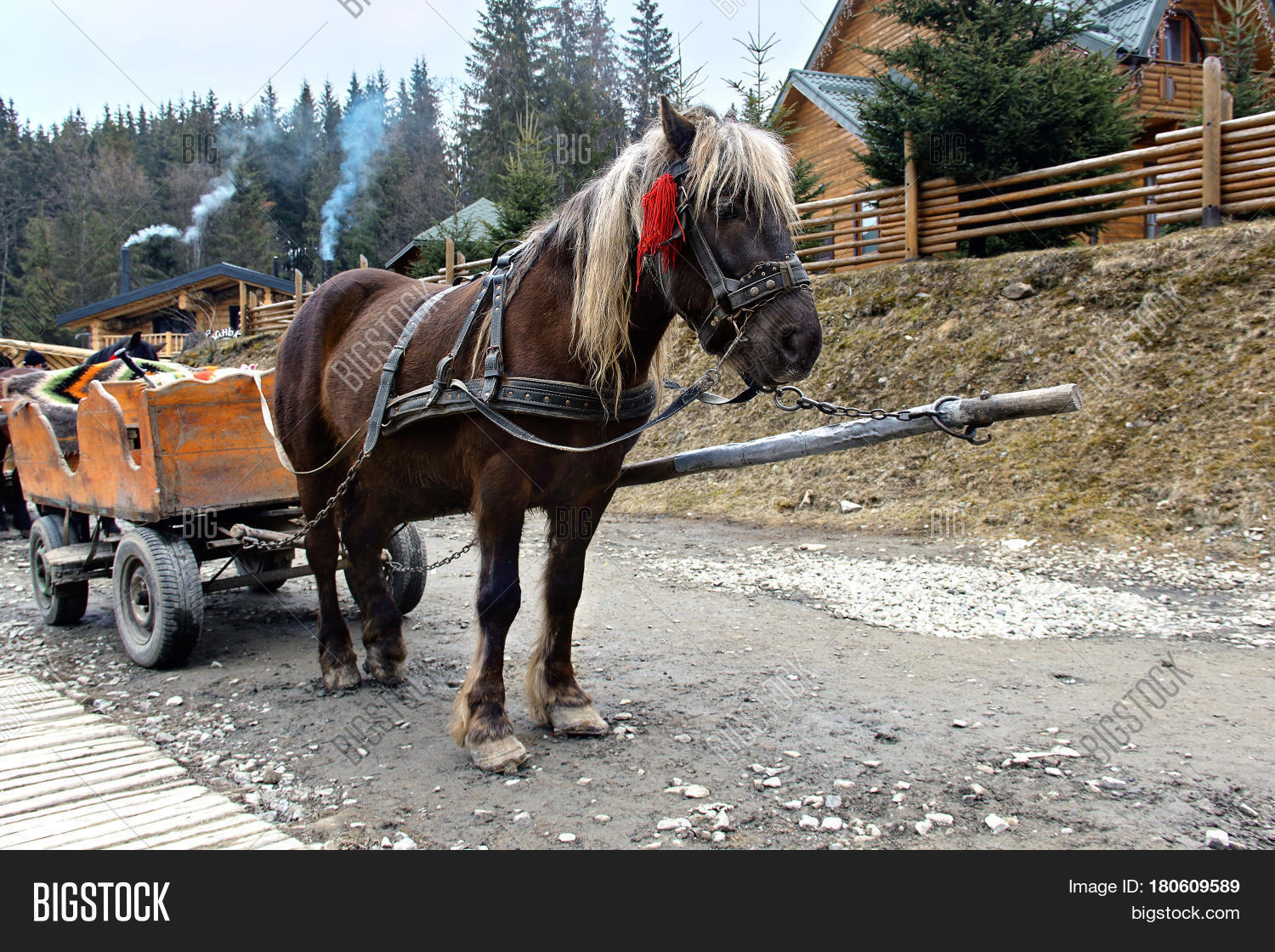 Brown Horse Dragging Image & Photo (Free Trial) | Bigstock