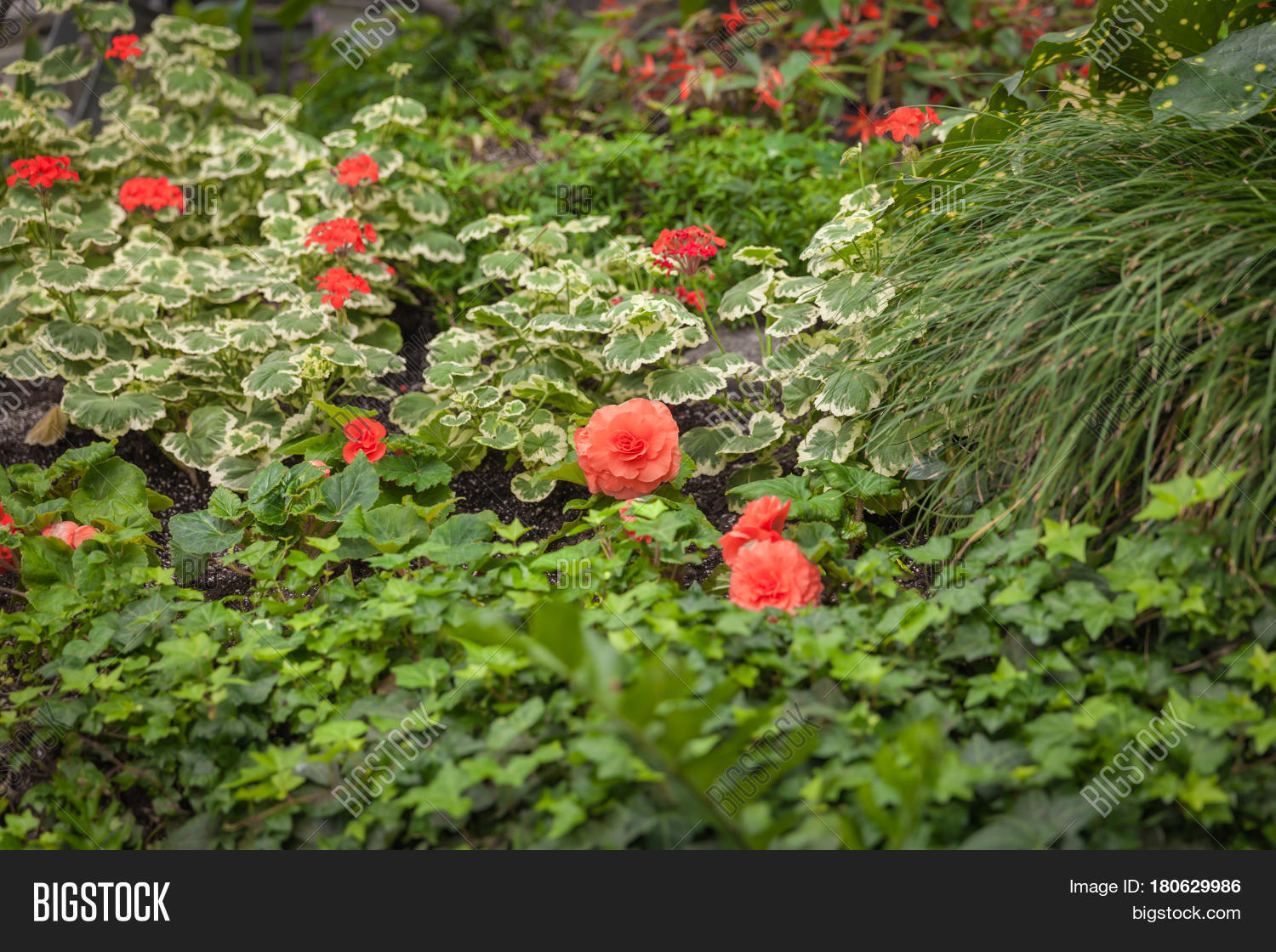 Magic Floral Garden Image & Photo (Free Trial) | Bigstock