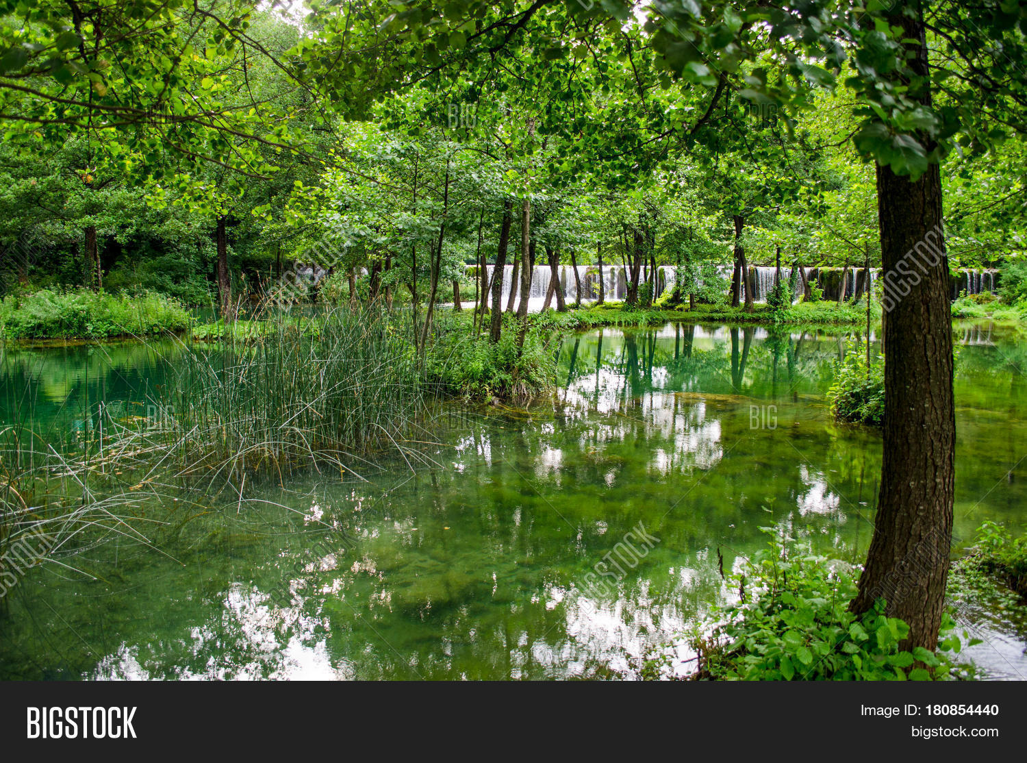 Beautiful Pliva Image & Photo (Free Trial) | Bigstock