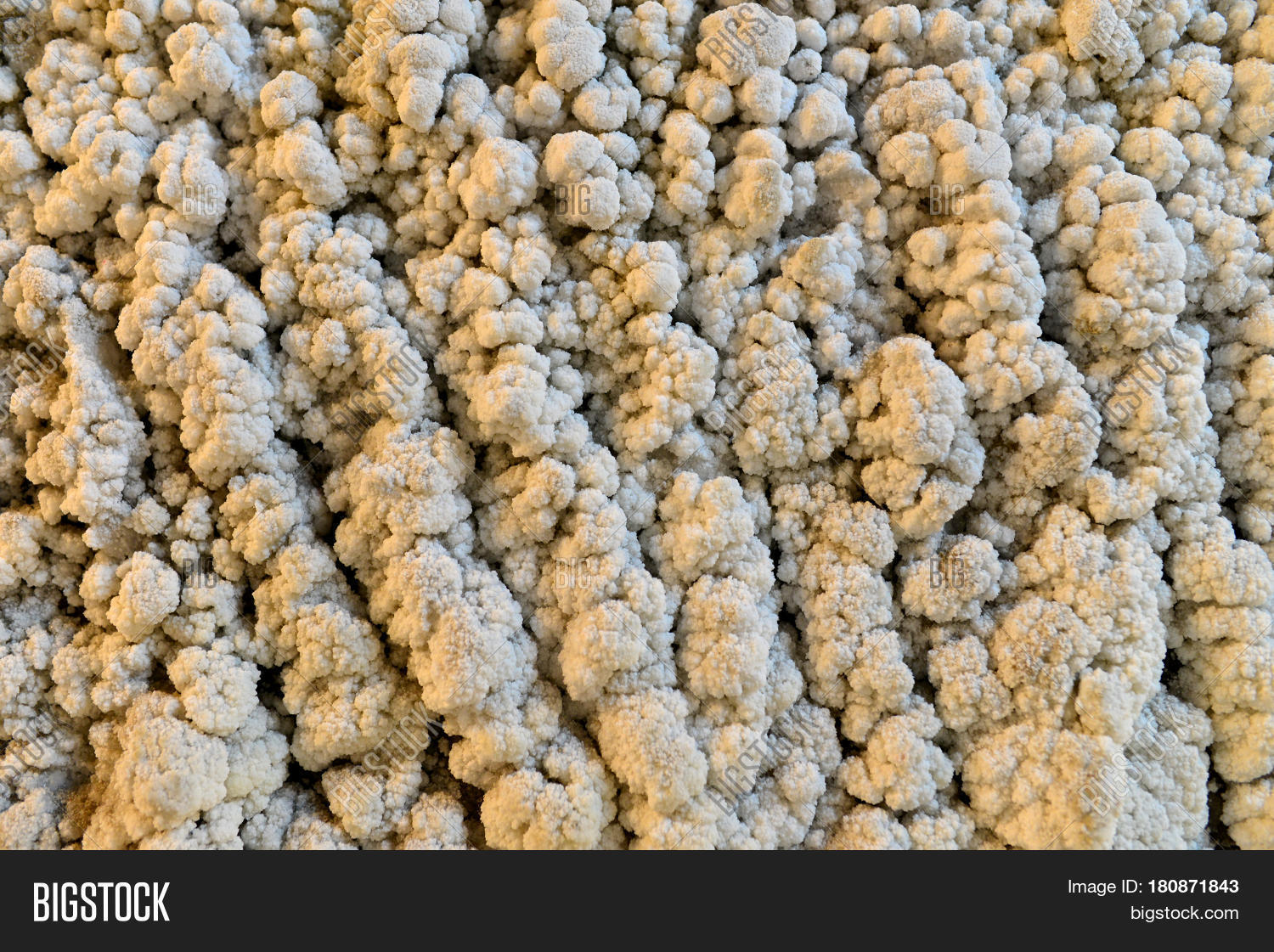 Salt Mine Wall Texture Image & Photo (Free Trial) | Bigstock