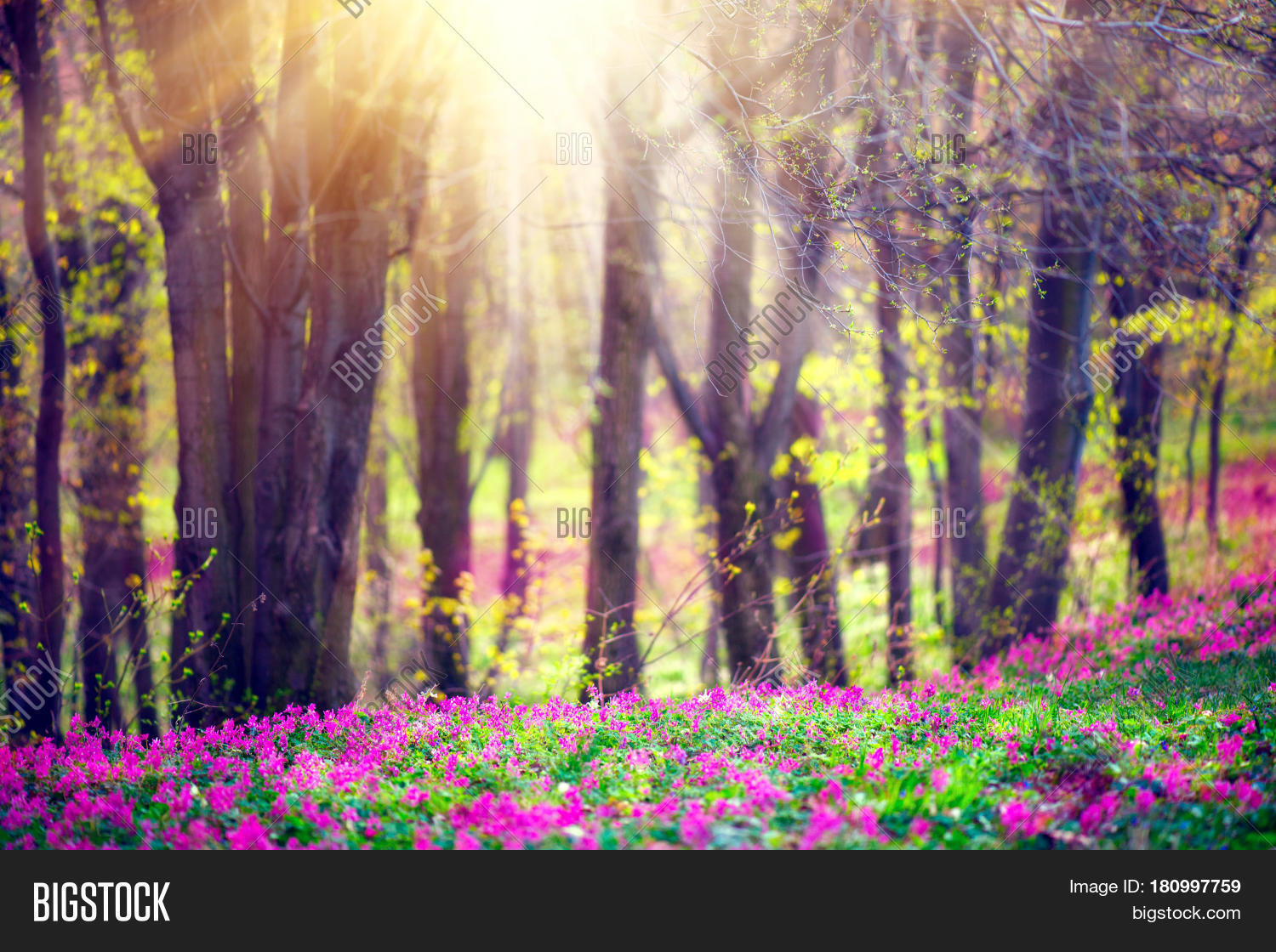 Spring Nature. Image & Photo (Free Trial) | Bigstock