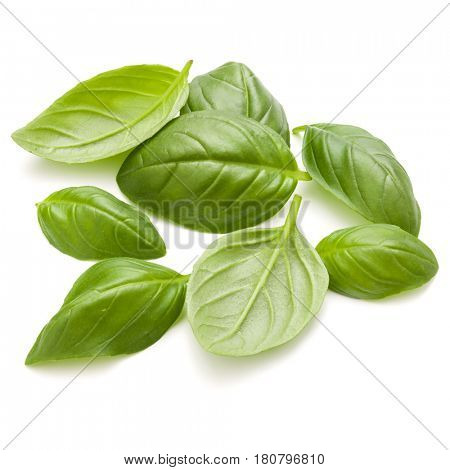 Sweet Basil Herb Image & Photo (Free Trial) | Bigstock