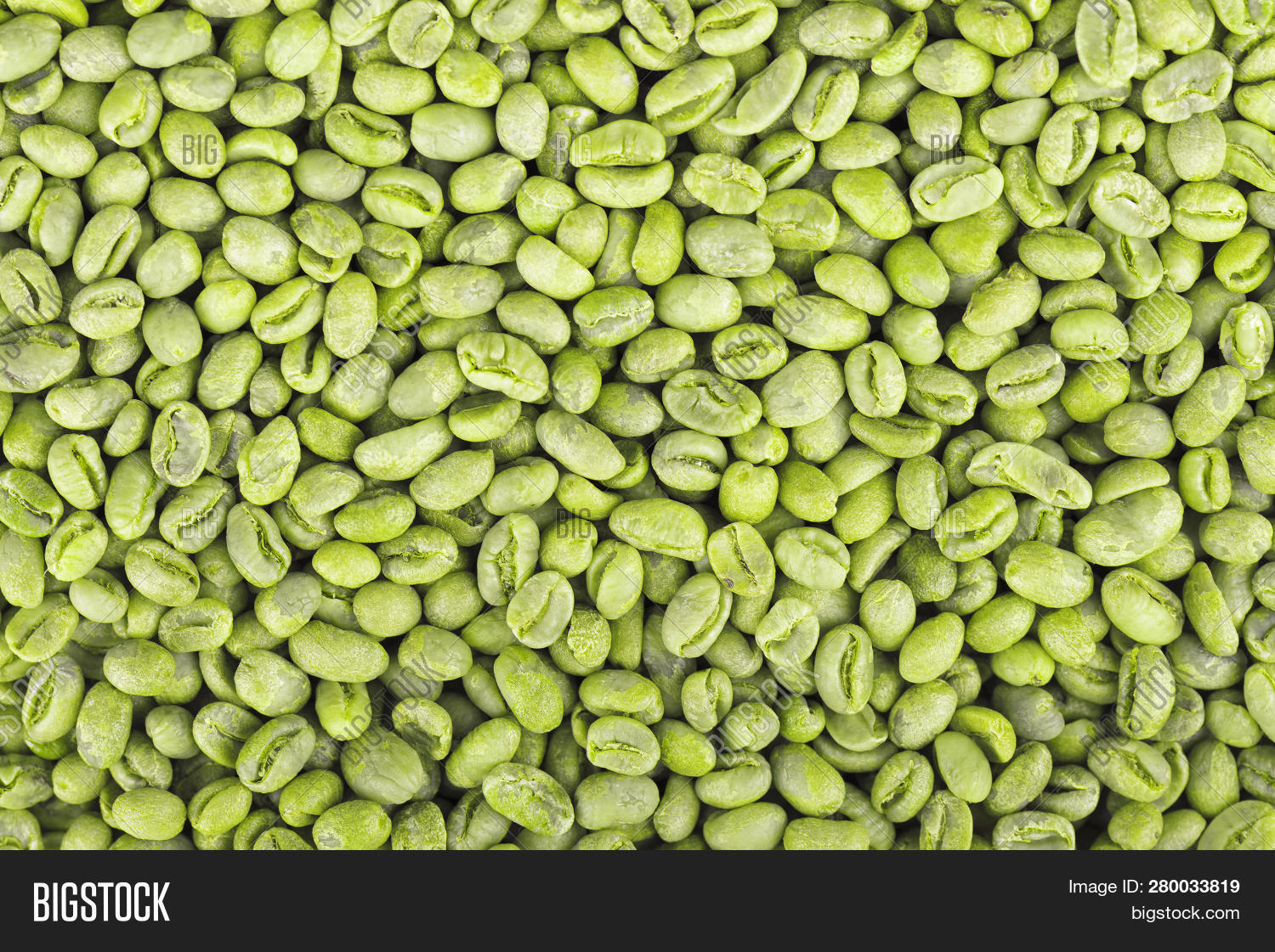 Green Coffee Beans Image & Photo (Free Trial) | Bigstock
