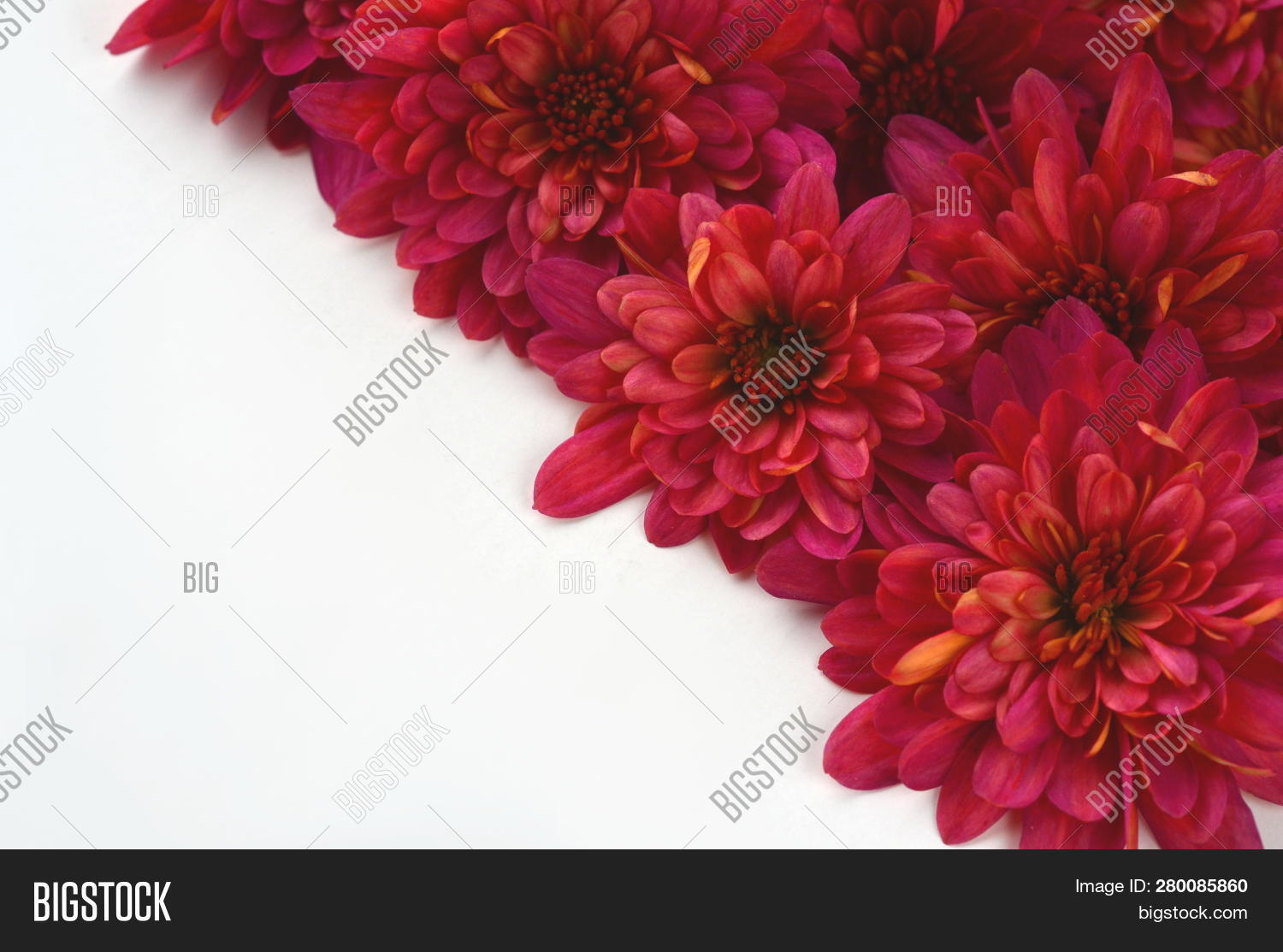 Fall Floral Background Image & Photo (Free Trial) | Bigstock