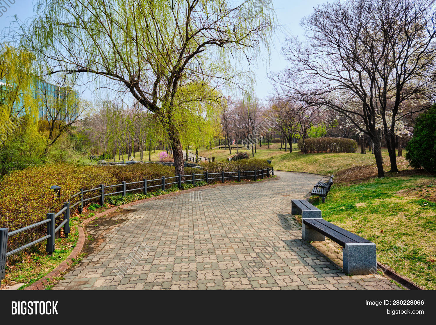 Path Walk Benches Image & Photo (Free Trial) | Bigstock