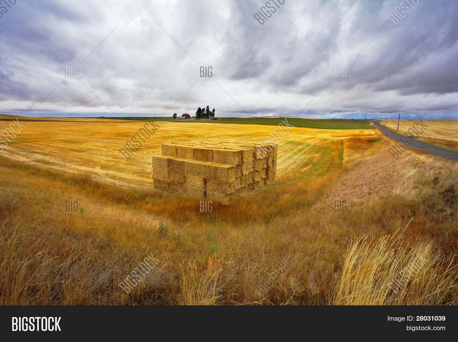 Big Haystack On Autumn Image & Photo (Free Trial) | Bigstock