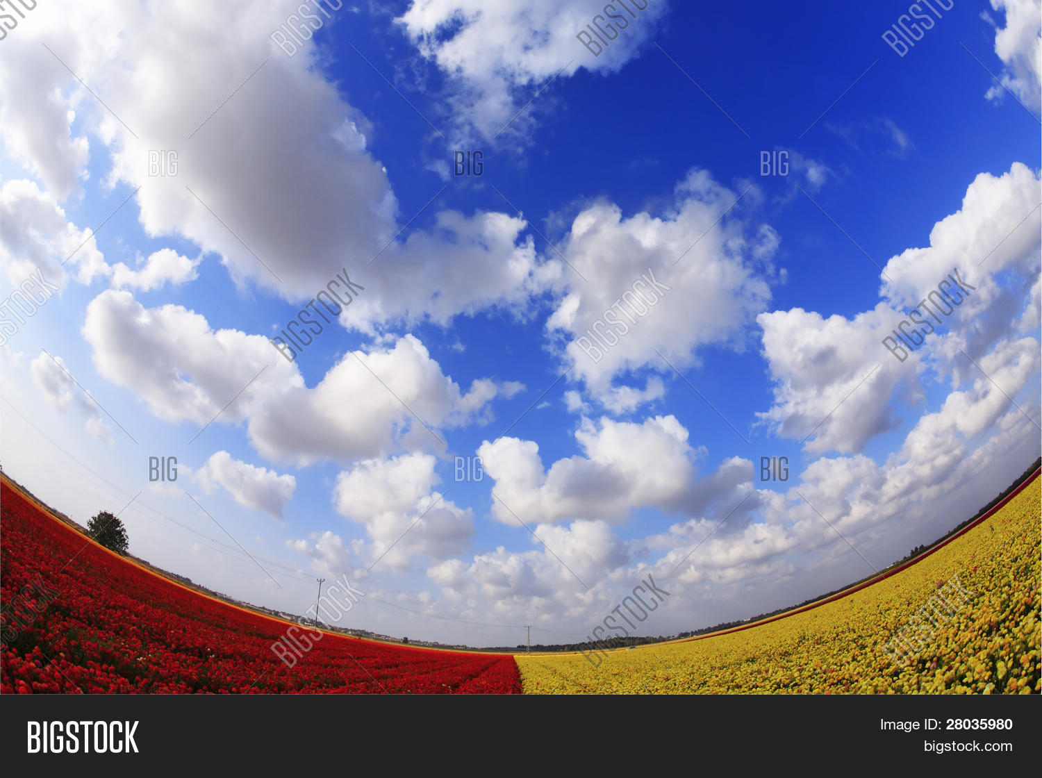 Cloudy Spring Morning Image & Photo (Free Trial) | Bigstock