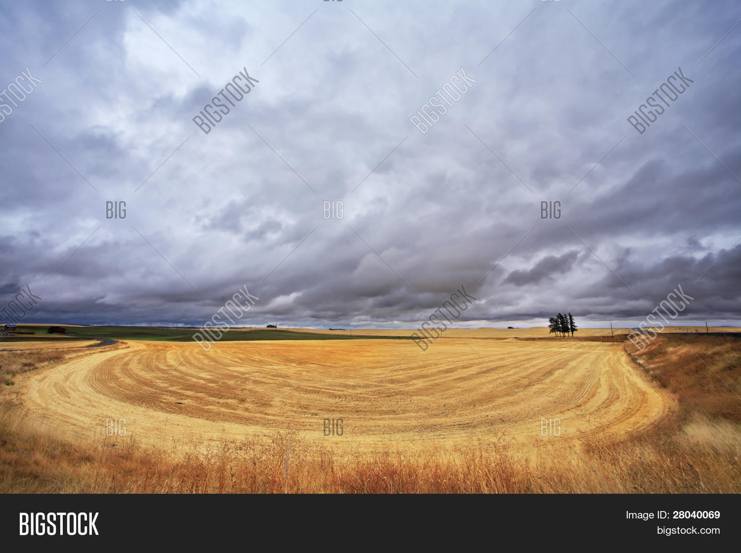 Huge Fields State Image & Photo (Free Trial) | Bigstock