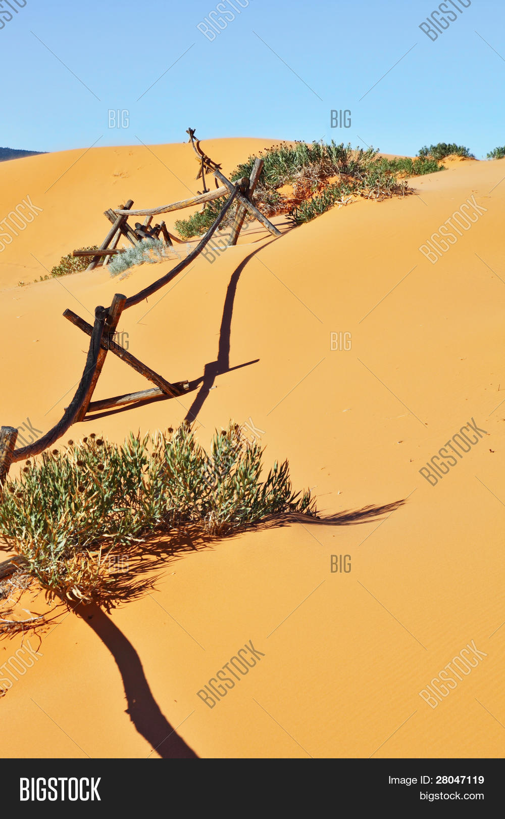 Yellow Sand Dunes Image & Photo (Free Trial) | Bigstock