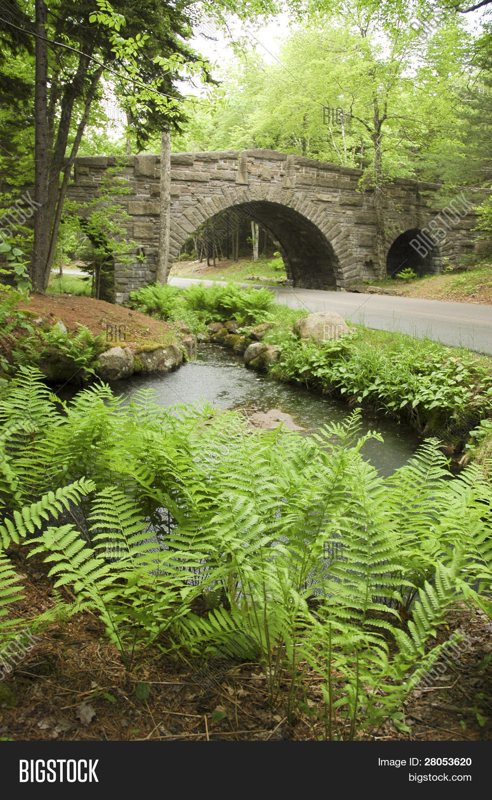 Stone Carriage Bridge Image & Photo (Free Trial) | Bigstock