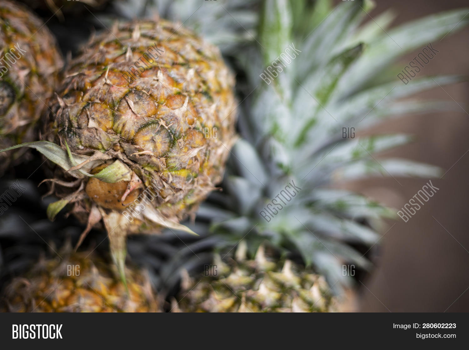 Fresh Pineapple Macro Image & Photo (Free Trial) | Bigstock