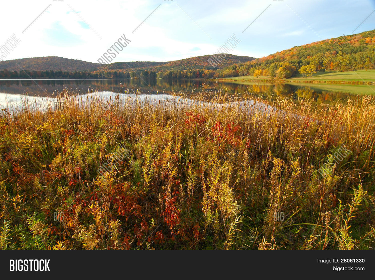 Autumn Leaves Coastal Image & Photo (Free Trial) | Bigstock