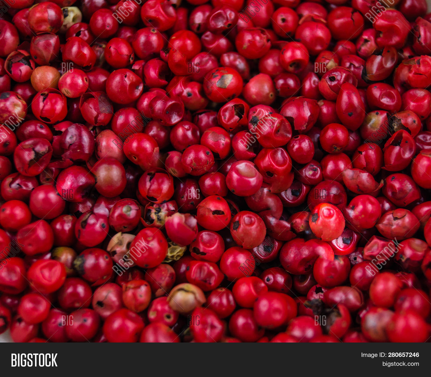 Red Pepper Brazilian Image & Photo (Free Trial) | Bigstock