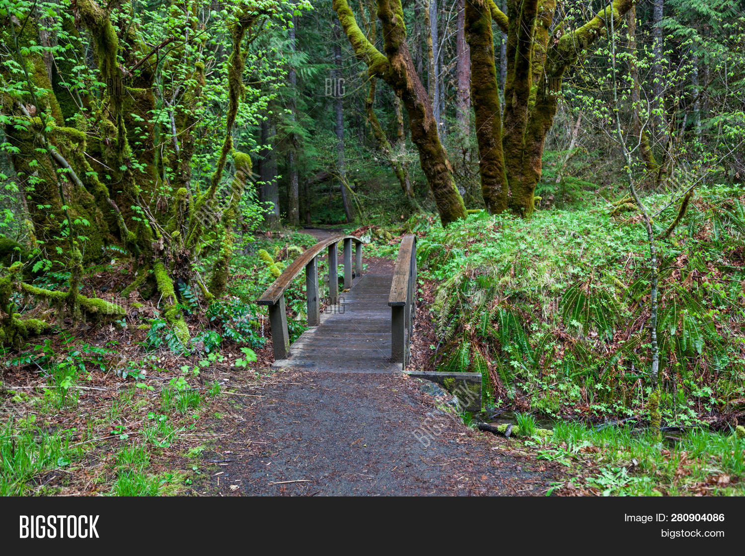 Small Wooden Walk Image & Photo (Free Trial) | Bigstock