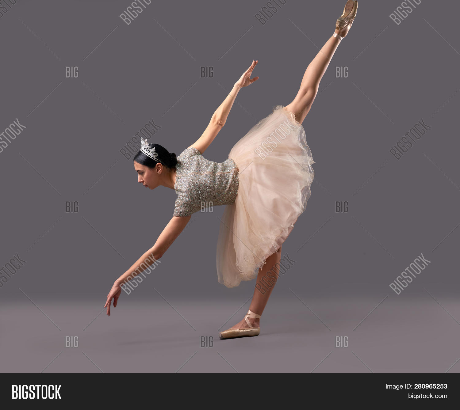 Professional Ballerina Image & Photo (Free Trial) | Bigstock
