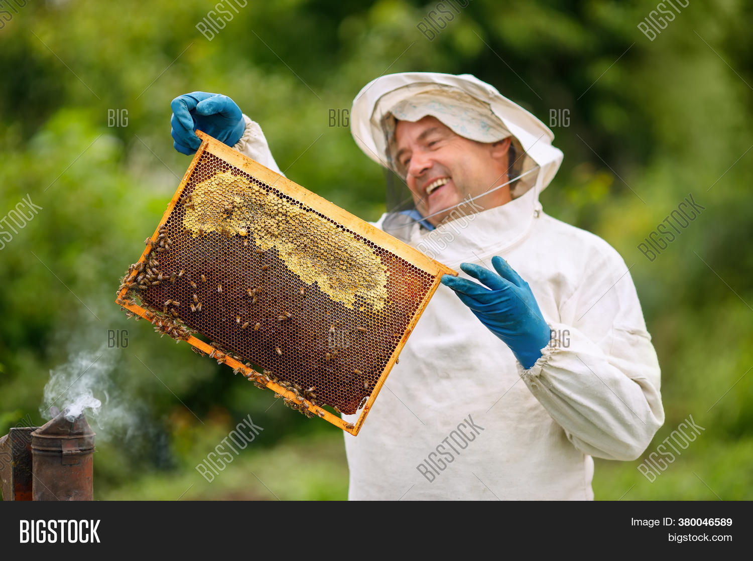 Man Watch Honeycomb Image & Photo (Free Trial) | Bigstock