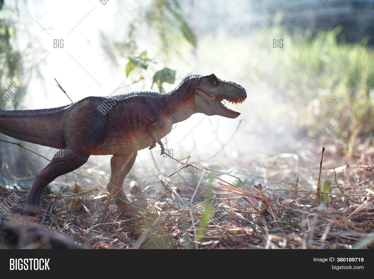 Tyrannosaurus Rex Image & Photo (Free Trial) | Bigstock
