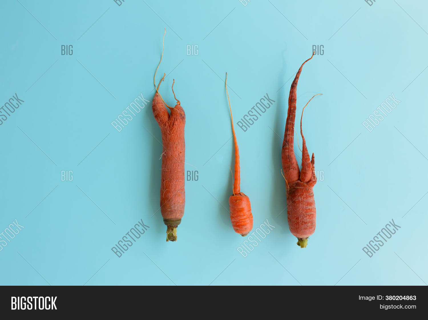 Ugly Carrots On Blue Image & Photo (Free Trial) | Bigstock