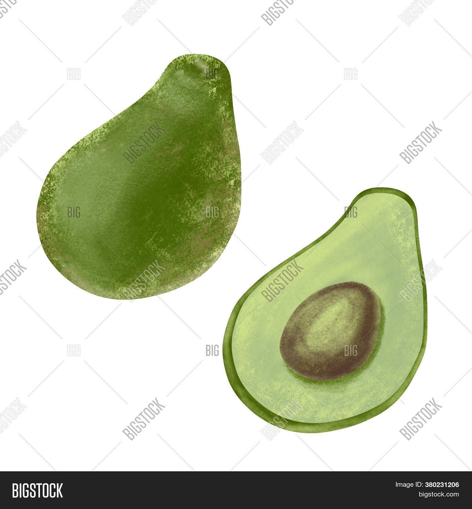 Realistic Avocados Image & Photo (Free Trial) | Bigstock