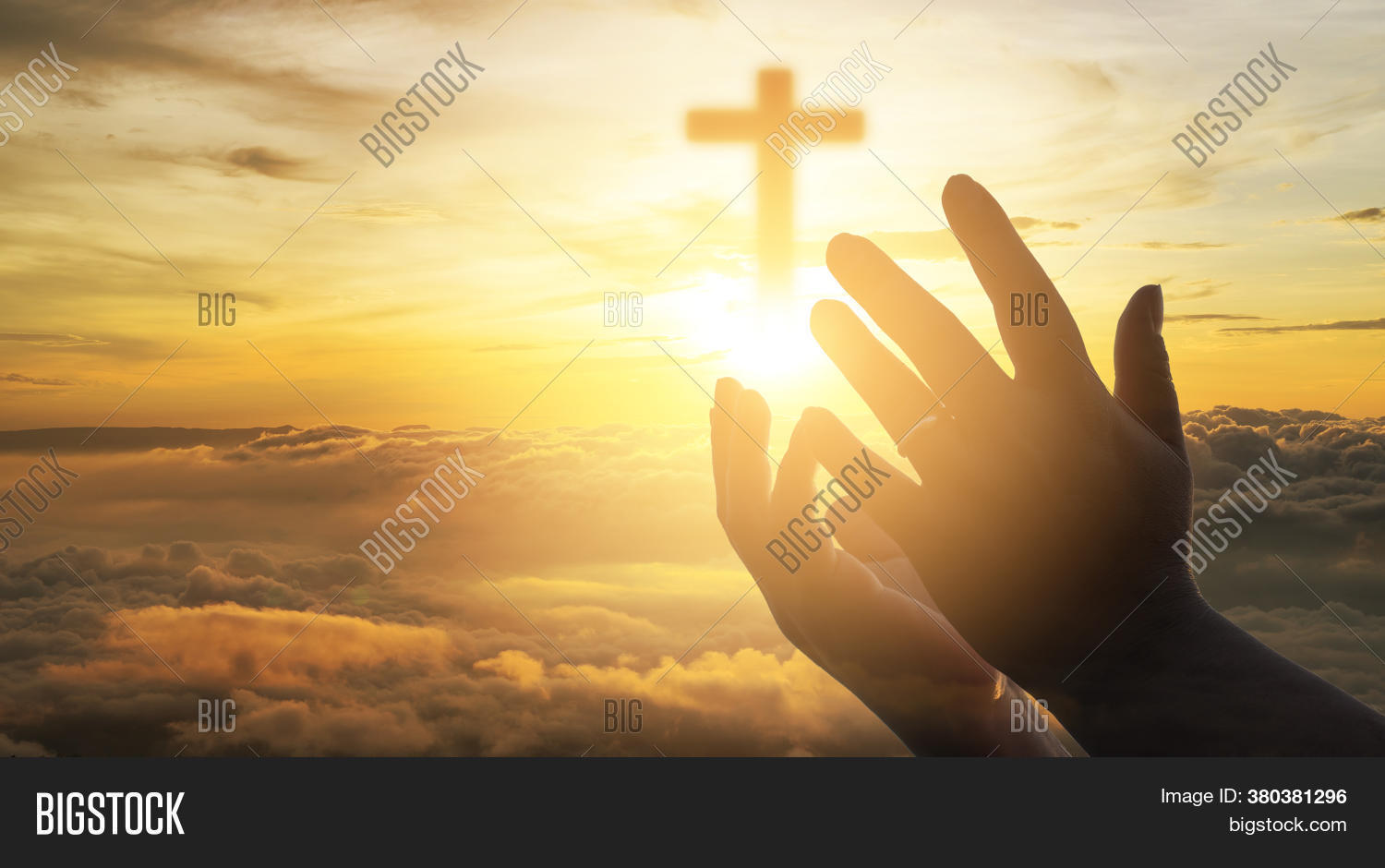 Human Hands Open Palm Image & Photo (Free Trial) | Bigstock