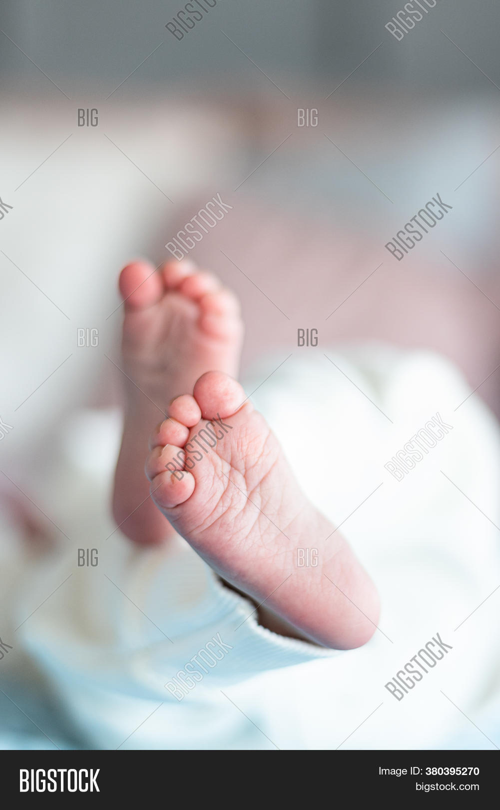 Baby Feet. Newborn Image & Photo (Free Trial) | Bigstock