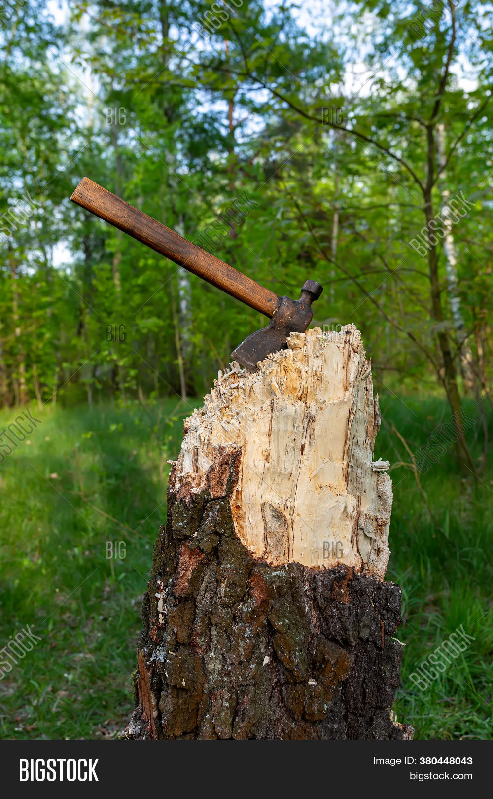 Tree Injectorhypo Hatchet