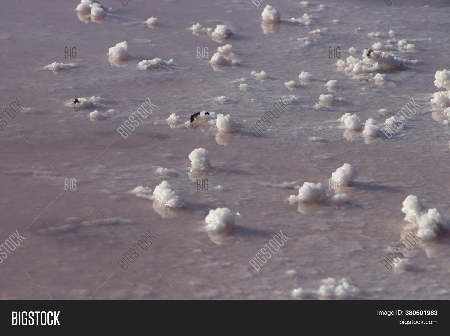 Salt Crystals Formed Image & Photo (Free Trial) | Bigstock