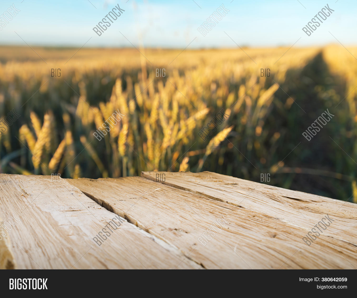 Wooden Table Field Image & Photo (Free Trial) | Bigstock
