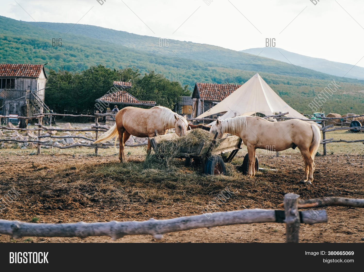 Wooden Corral Horses. Image & Photo (Free Trial) | Bigstock