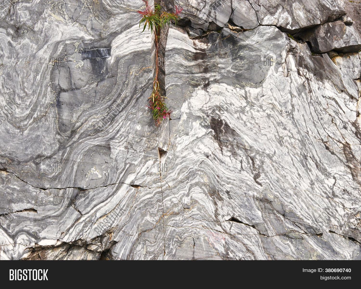 Slice Marble. Marble Image & Photo (Free Trial) | Bigstock
