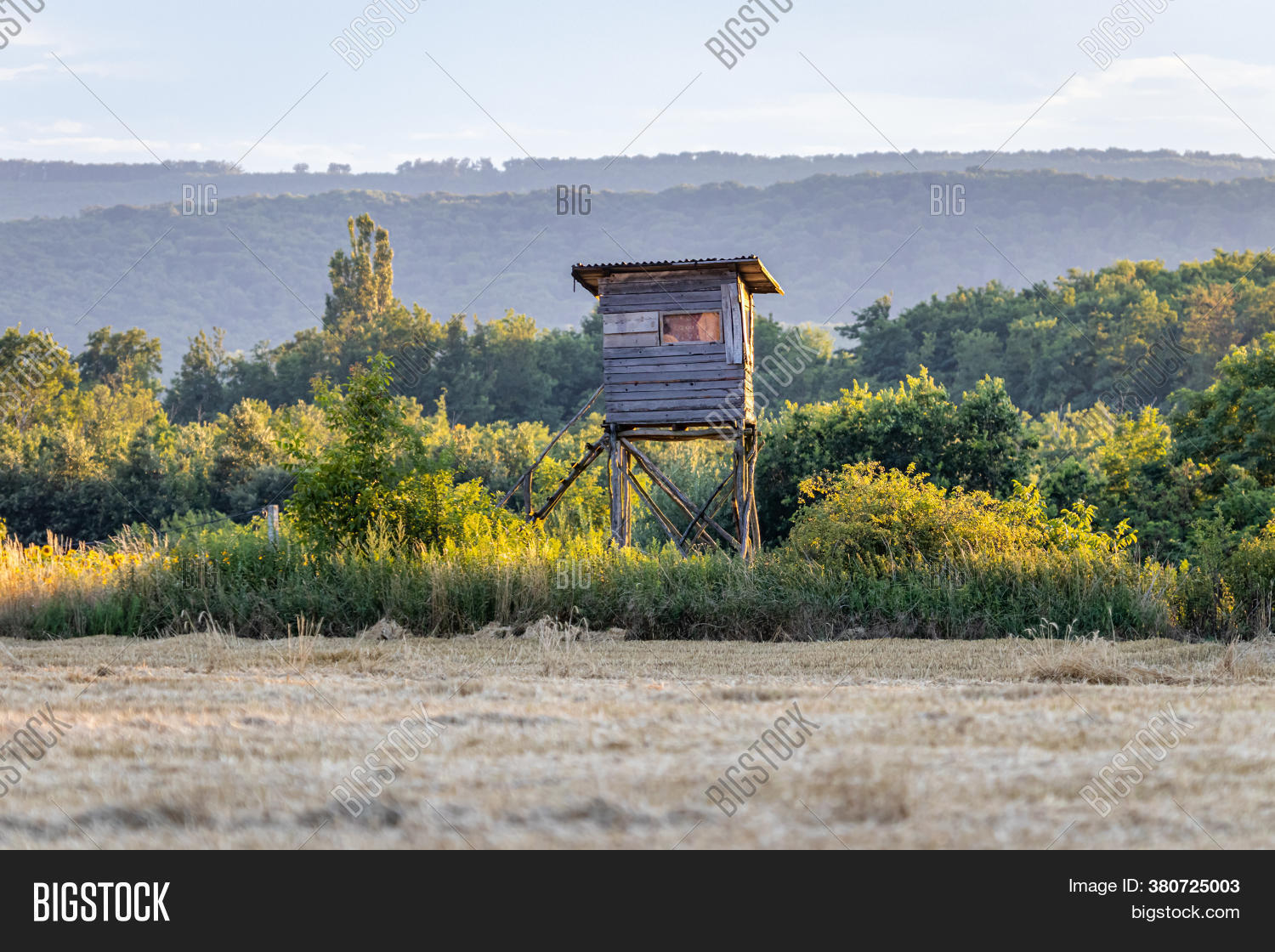 Hunter Tower Next Image & Photo (Free Trial) | Bigstock